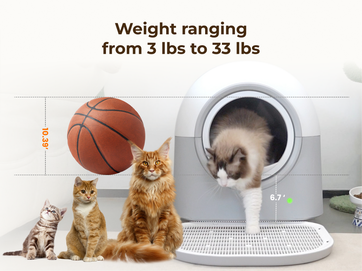 Automatic Self-Cleaning Cat Litter Box Pro White | HHOLOVE